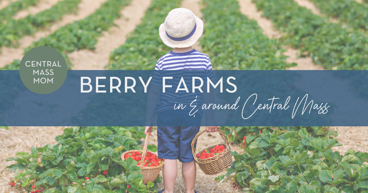 Berry Farms in Central Mass