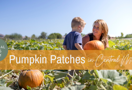 2025 Fall Fairs & Festivals In & Around Central Mass