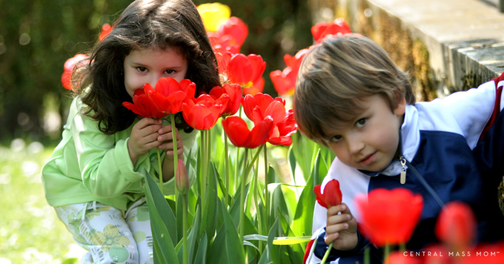 Connect with Your Kids This Spring :: Meaningful Activities & Conversations