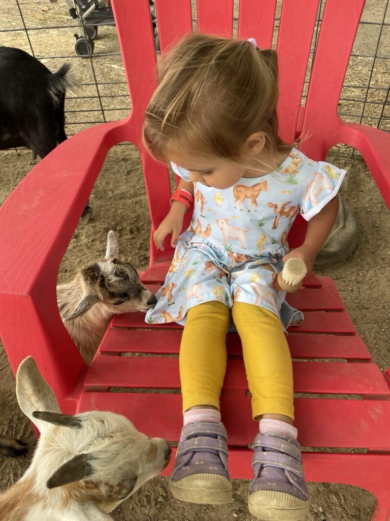 Davis Days: A Breakdown of Davis Farmland