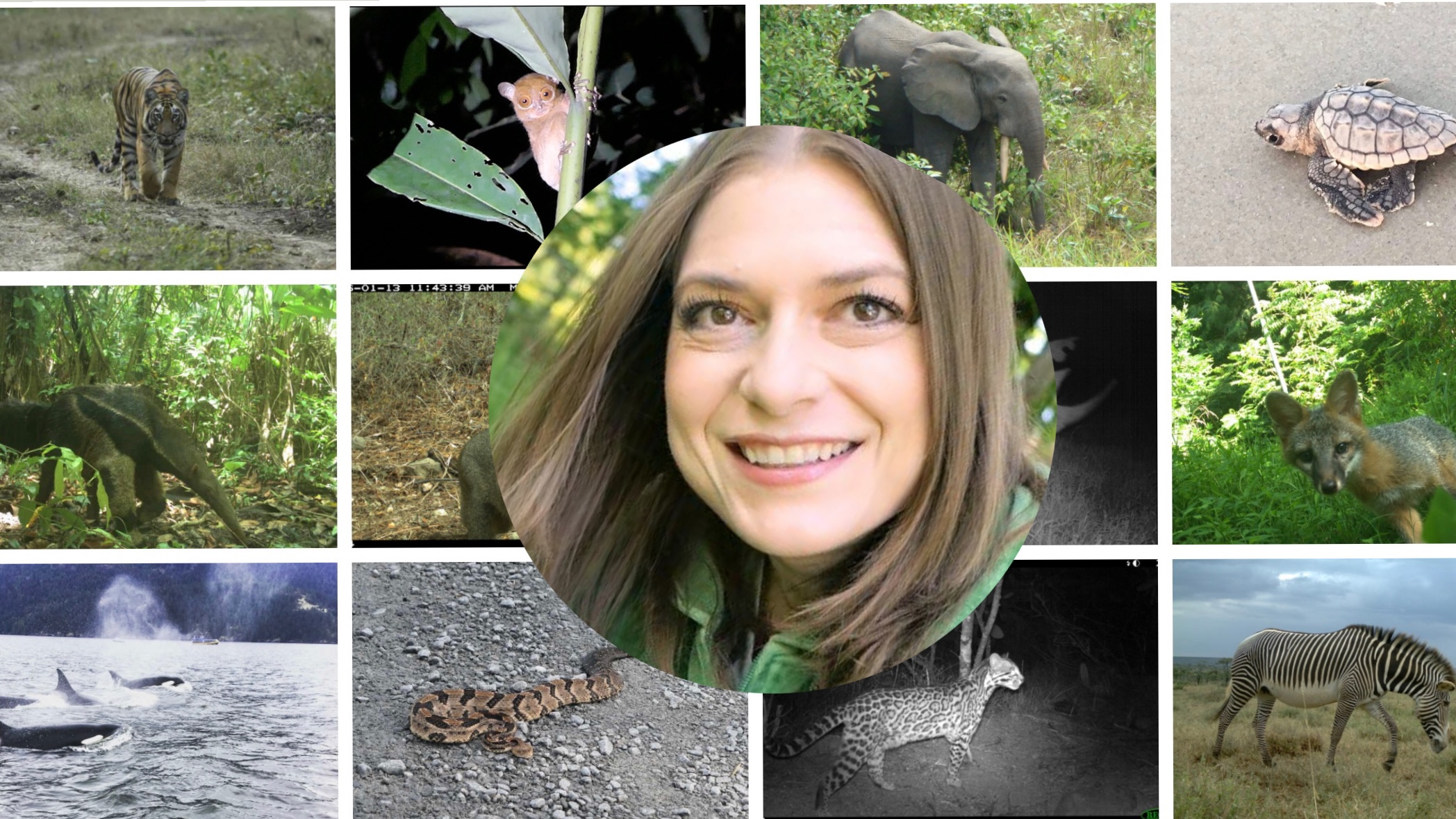 Staying Curious with Dr. Stephanie Manka