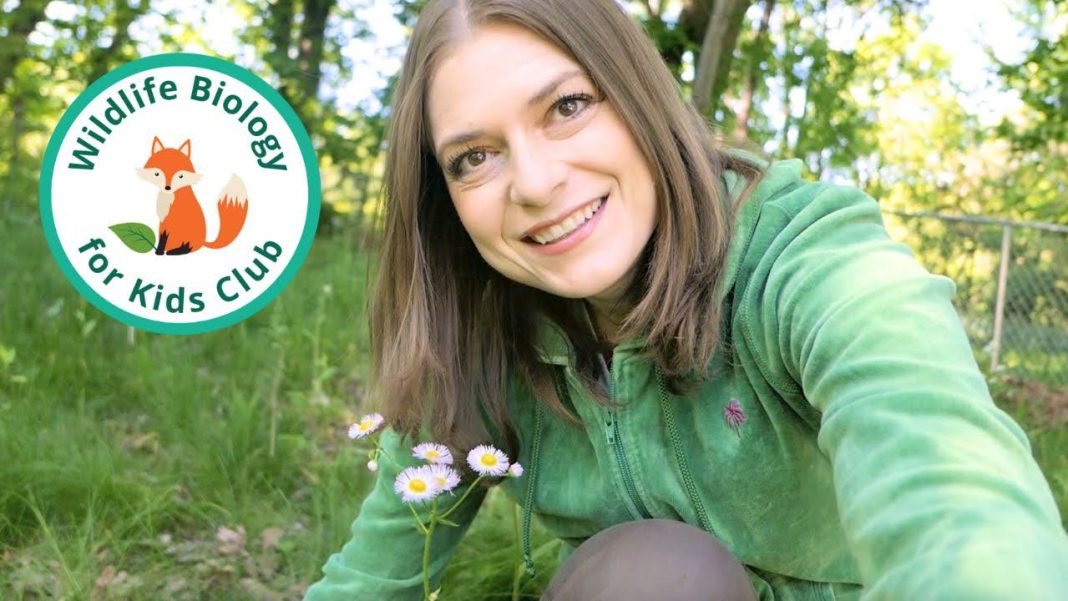 Staying Curious with Dr. Stephanie Manka
